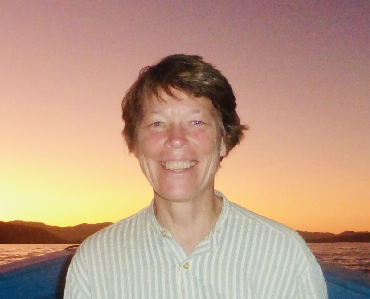 Kayaks, Horses and Chairs…Oh My! Sitting Dynamically for Comfort ...